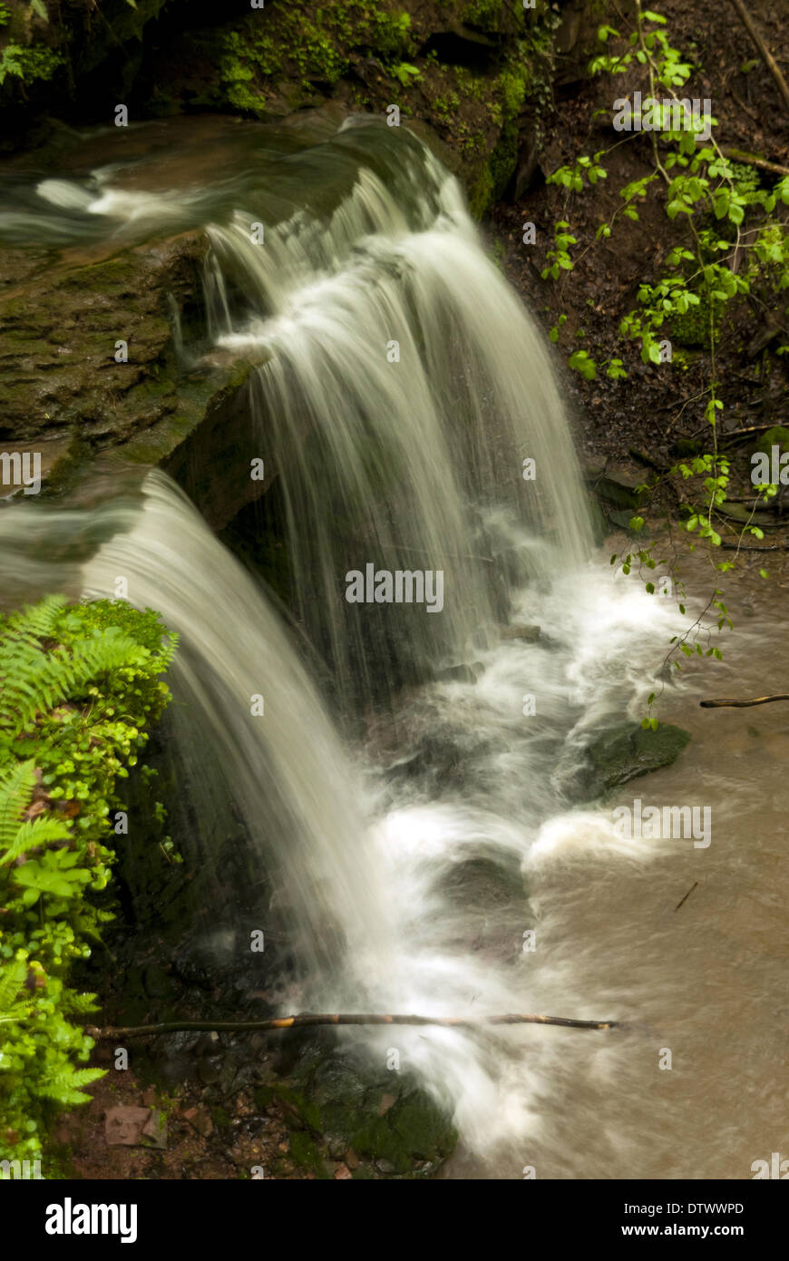 On the Hiking Trail Eifelsteig Stock Photo - Alamy