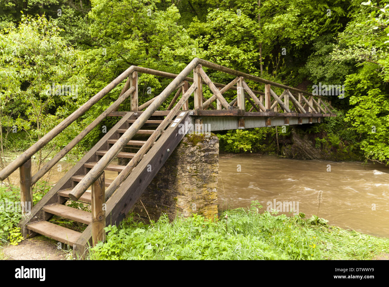 On the Hiking Trail Eifelsteig Stock Photo - Alamy