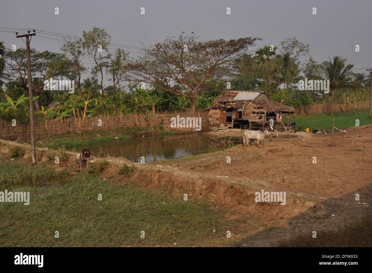 simple rural life,burma Stock Photo - Alamy