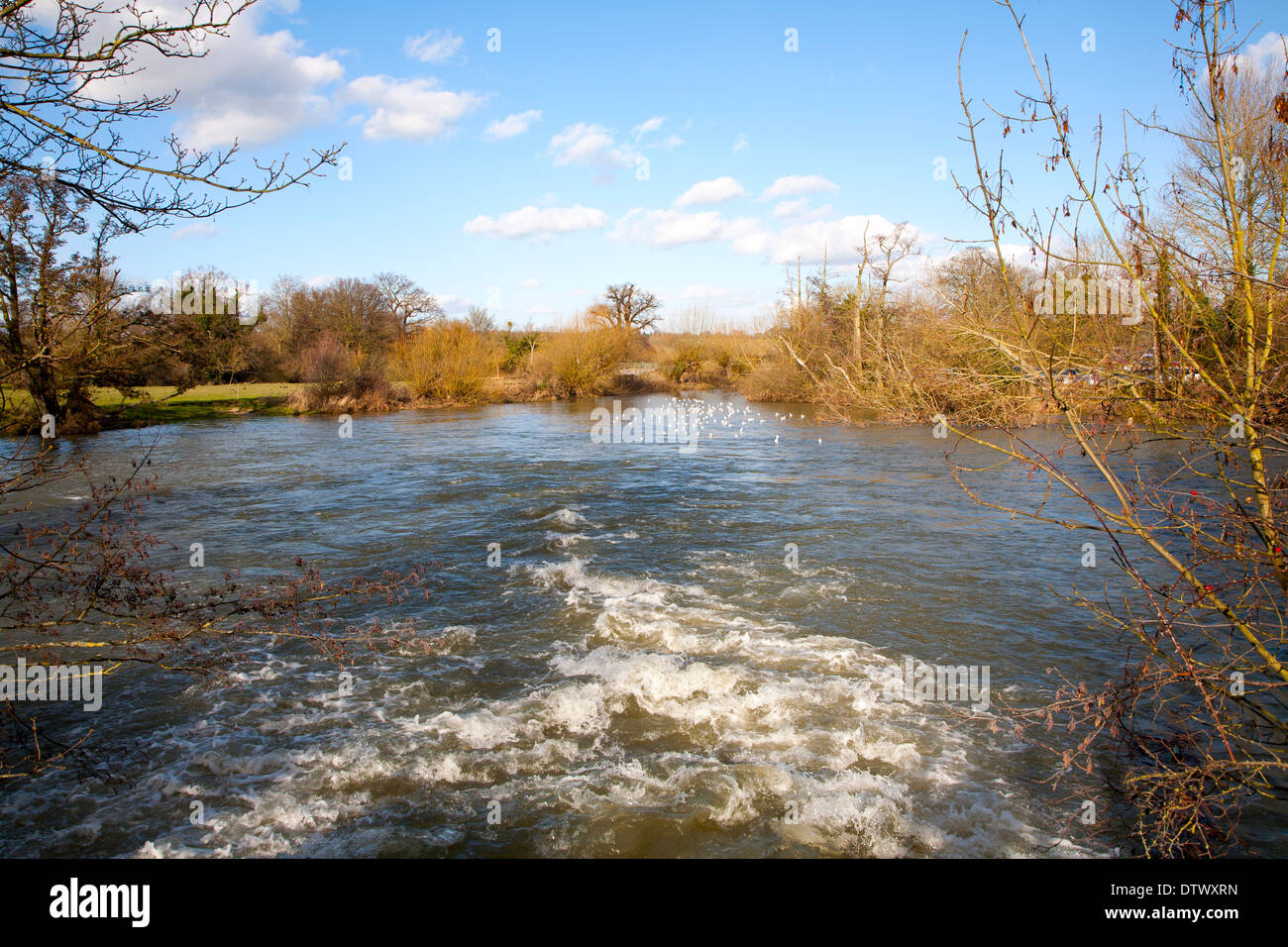 Weir on river stour stour hi-res stock photography and images - Alamy