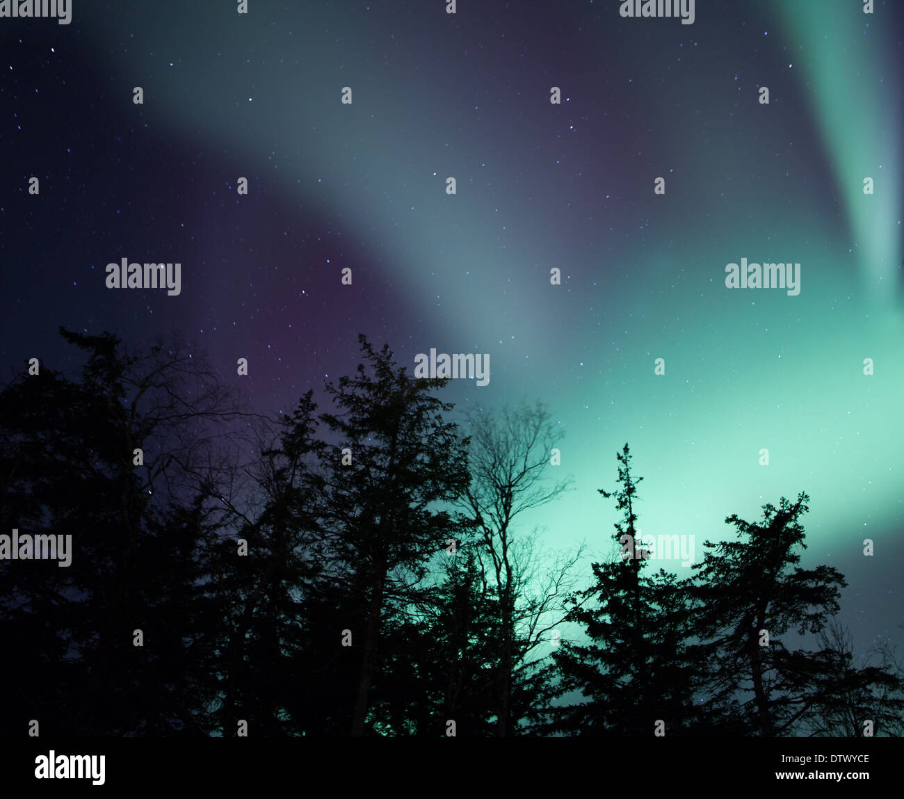 Northern lights (Aurora borealis) in an Alaskan sky with the silhouette ...