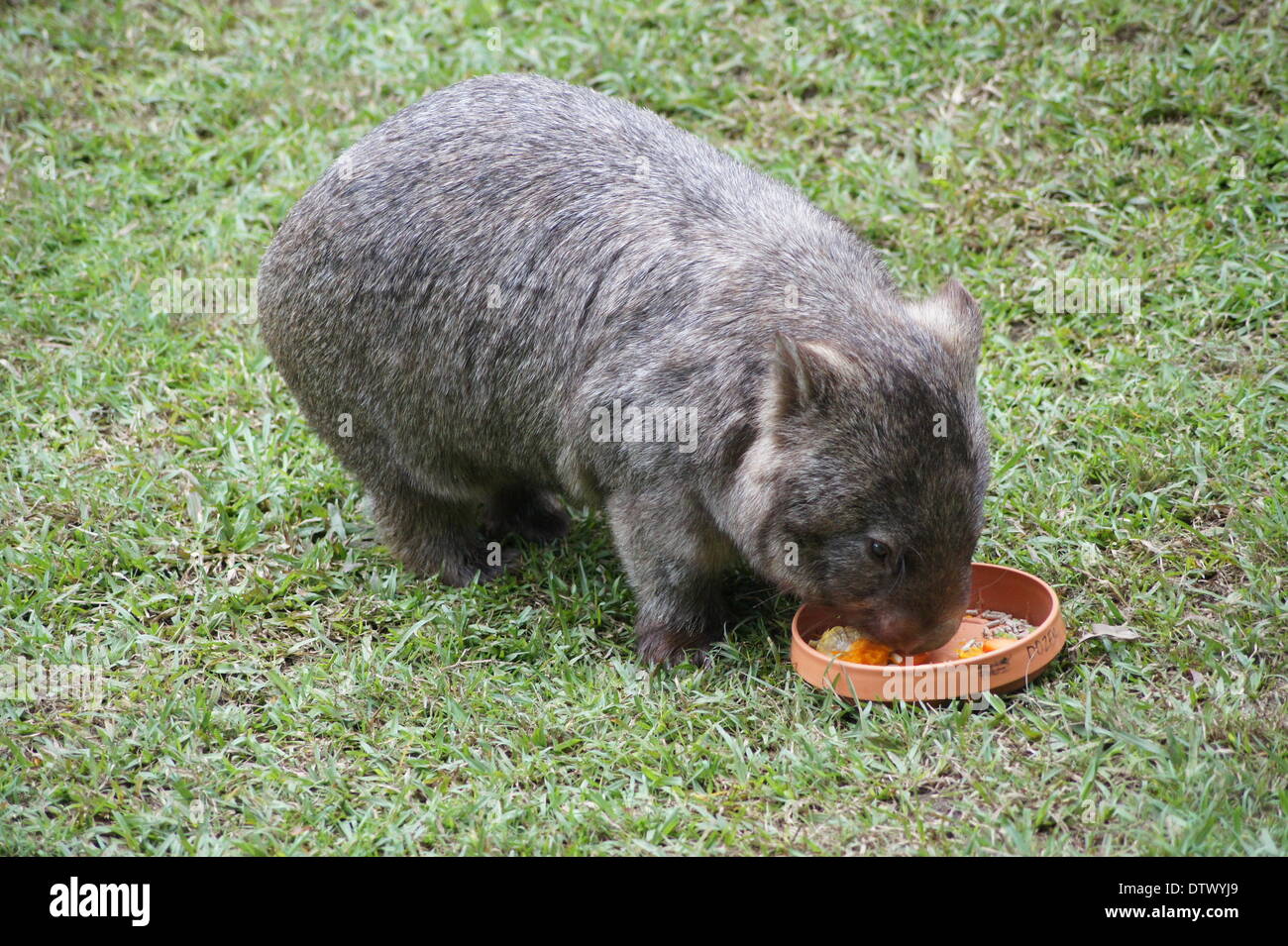 Aborigenes hi-res stock photography and images - Alamy