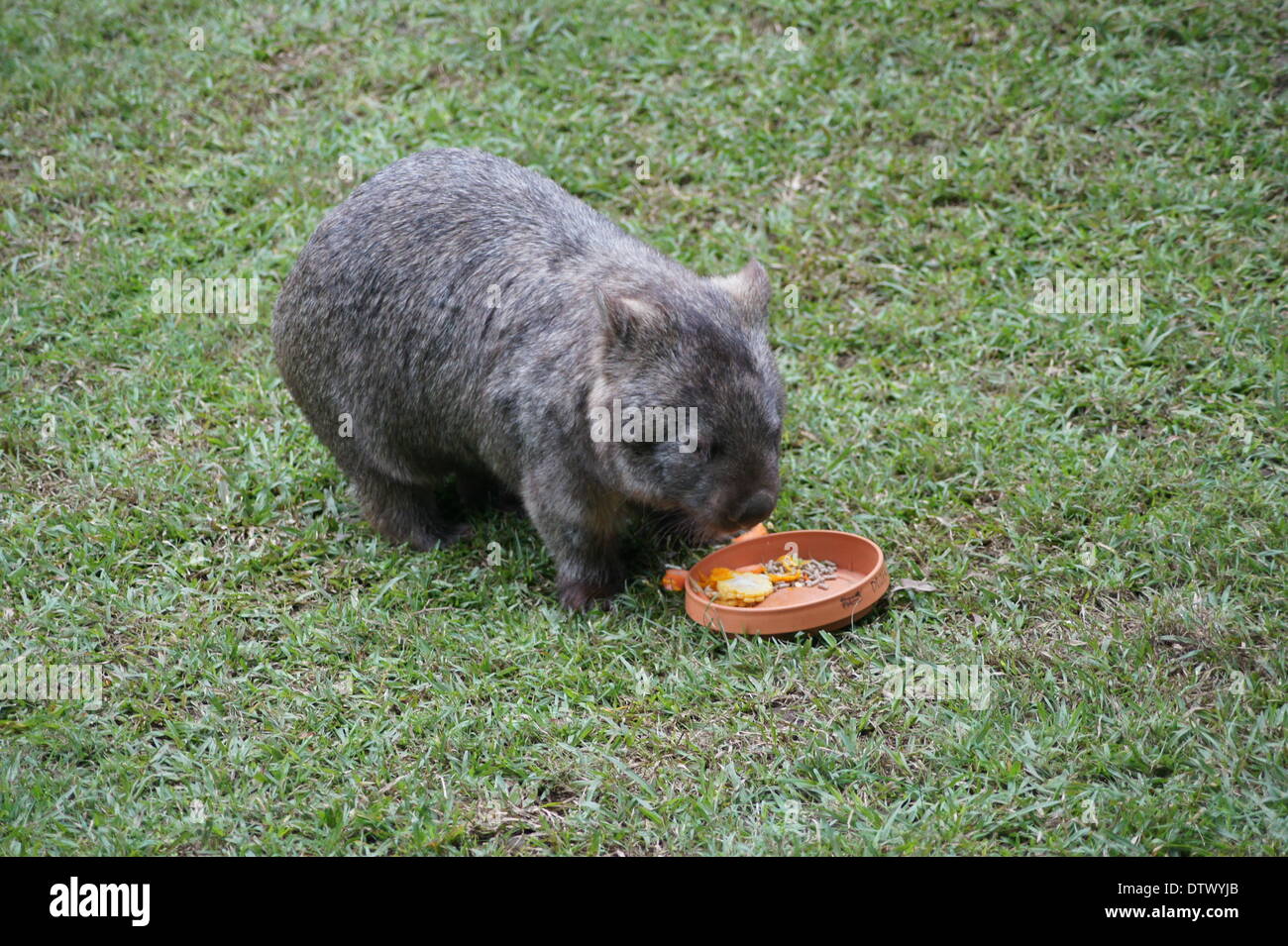 Aborigenes hi-res stock photography and images - Alamy