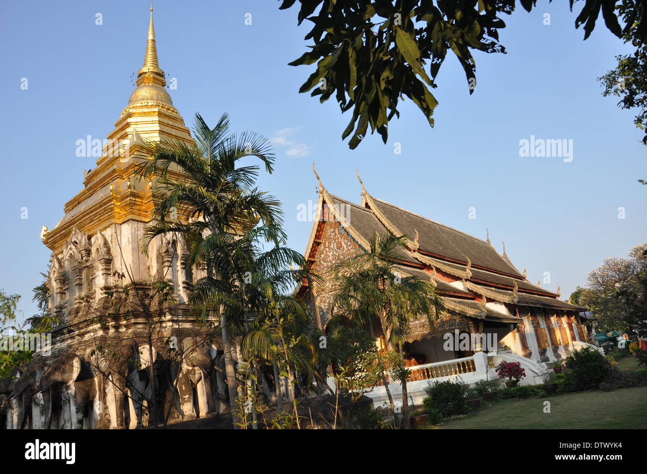 wat chiang man,chiang mai,thailand Stock Photo - Alamy