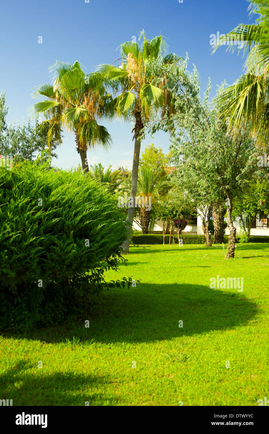 Formal trees hi-res stock photography and images - Alamy