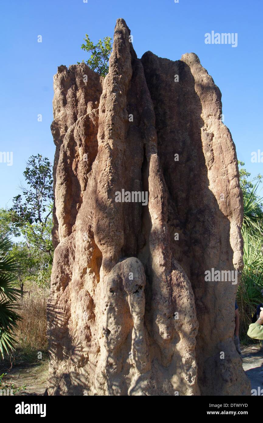 Litchfield nationalpark hi-res stock photography and images - Alamy