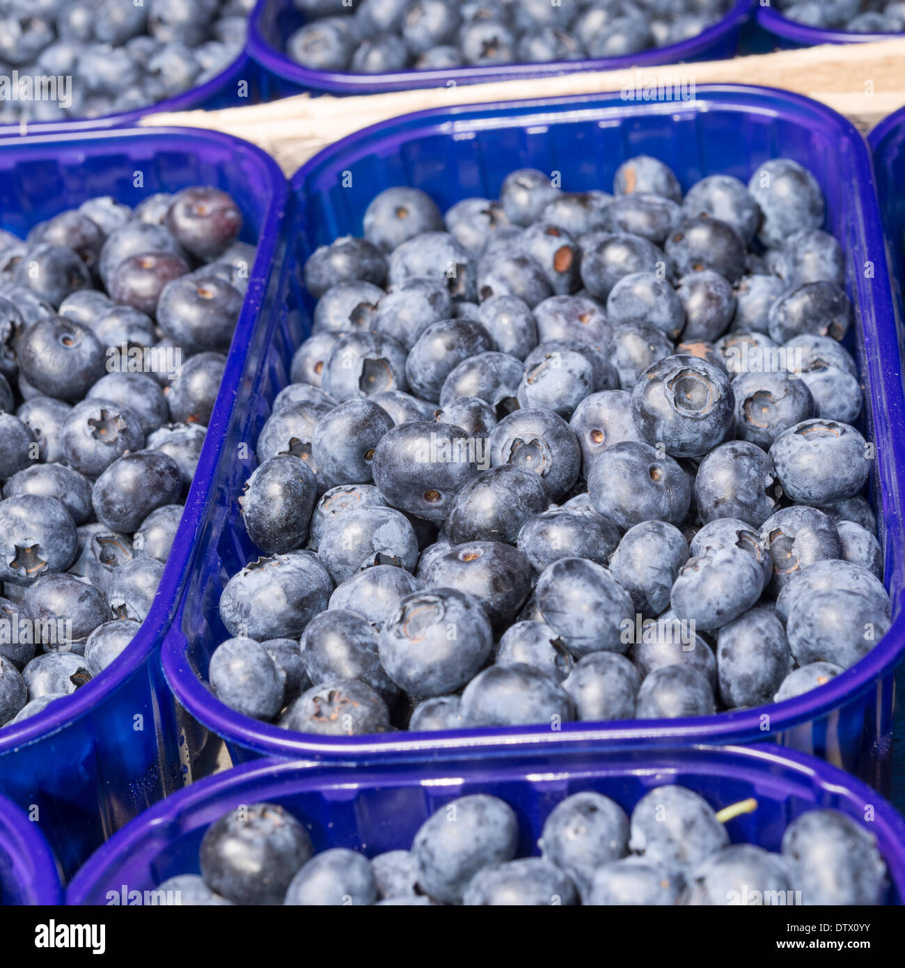 Blueberry stall hi-res stock photography and images - Alamy