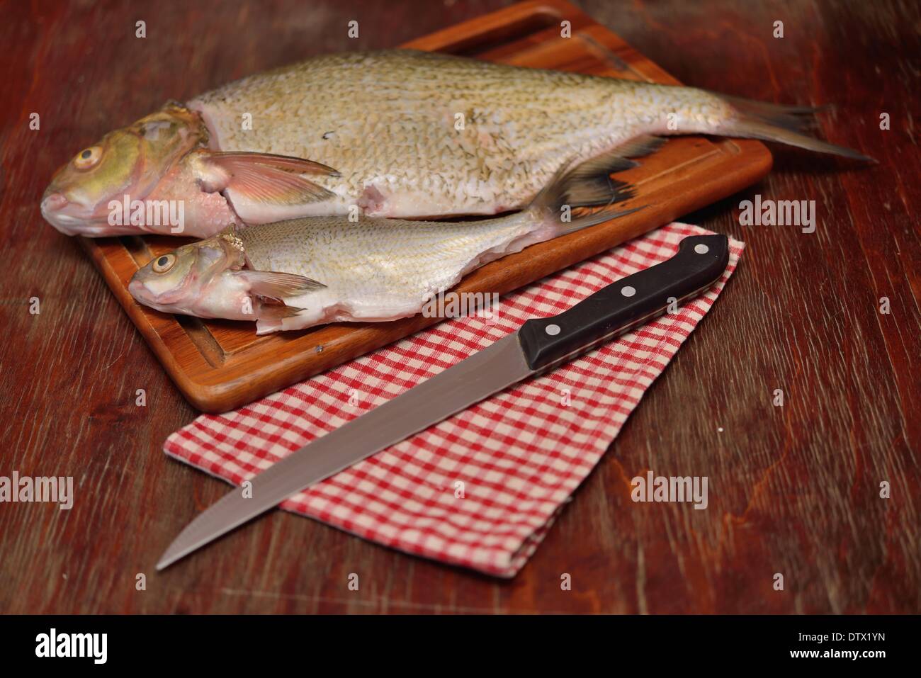 Common bream hi-res stock photography and images - Alamy