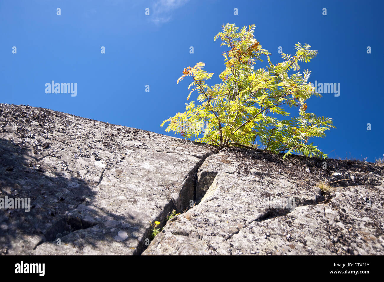 Skerry rocks hi-res stock photography and images - Alamy