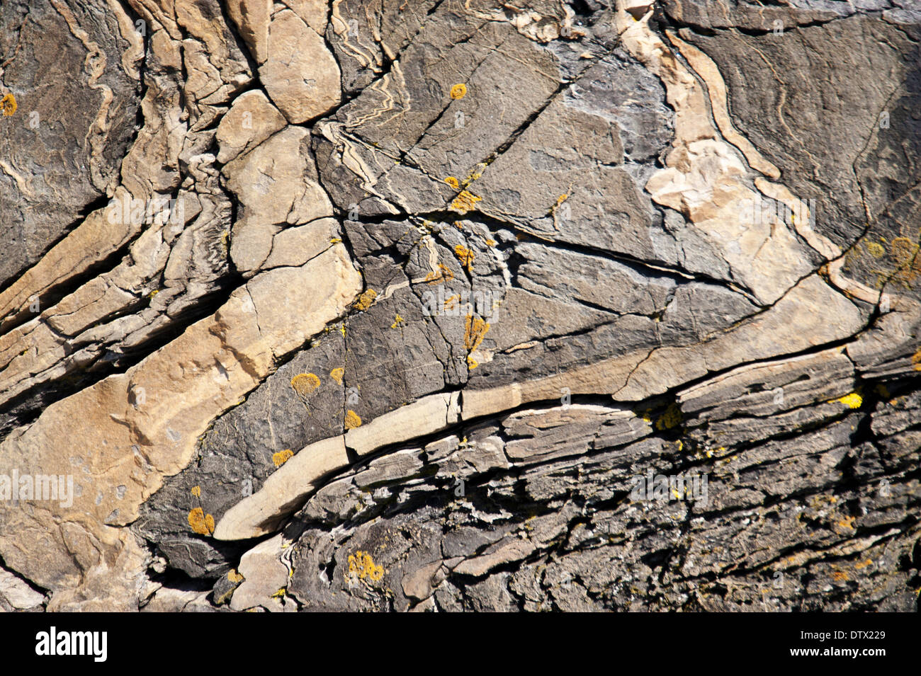 Skerry rocks hi-res stock photography and images - Alamy