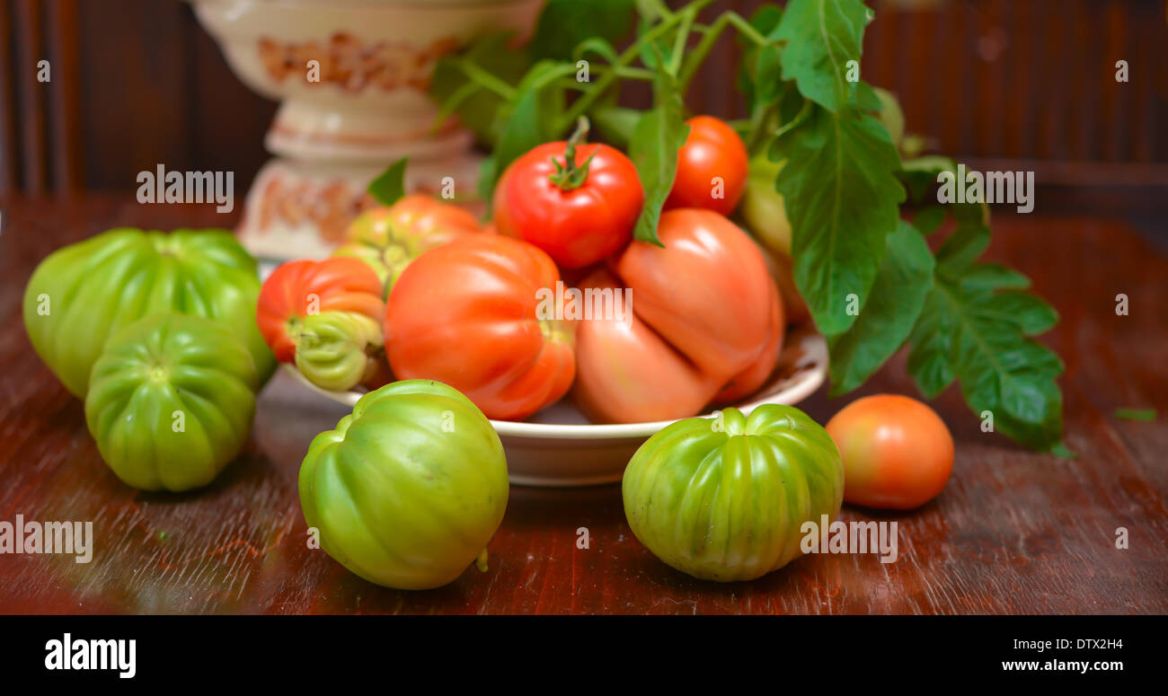 The tomato (Solanum lycopersicum Stock Photo - Alamy