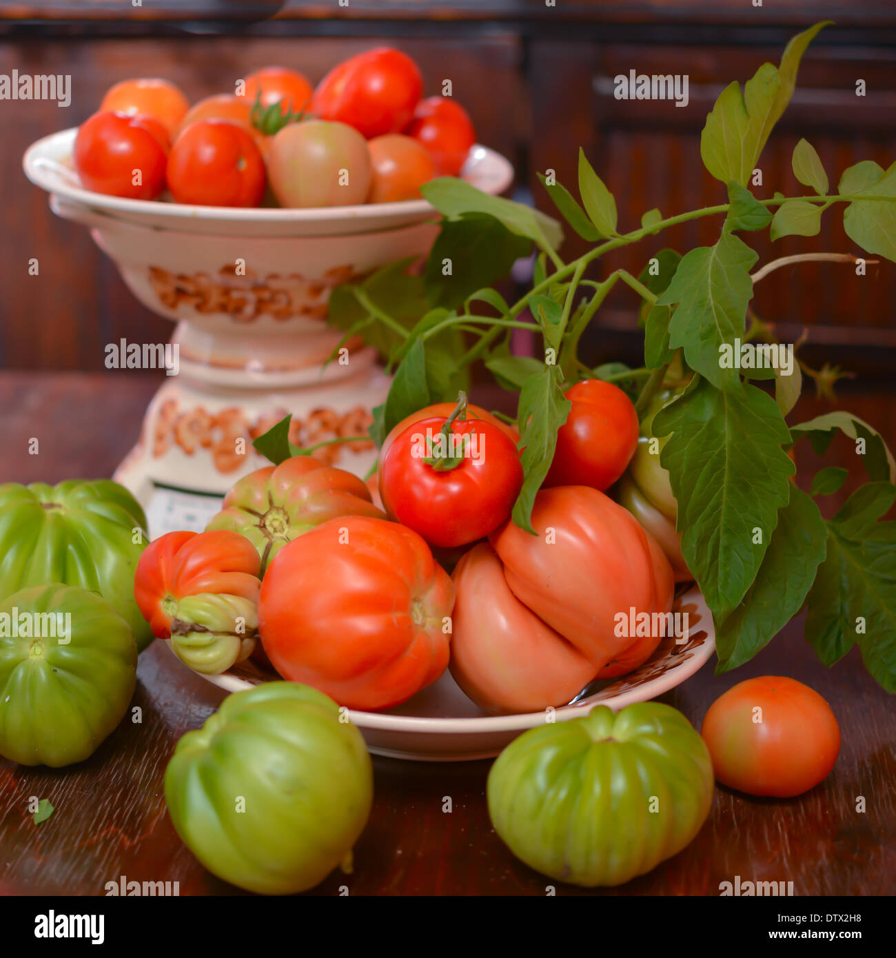 The tomato (Solanum lycopersicum Stock Photo - Alamy