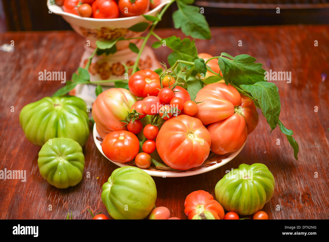 The tomato (Solanum lycopersicum Stock Photo - Alamy