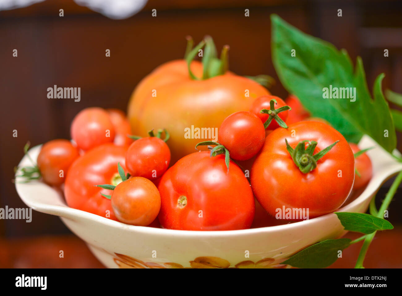 The tomato (Solanum lycopersicum Stock Photo - Alamy