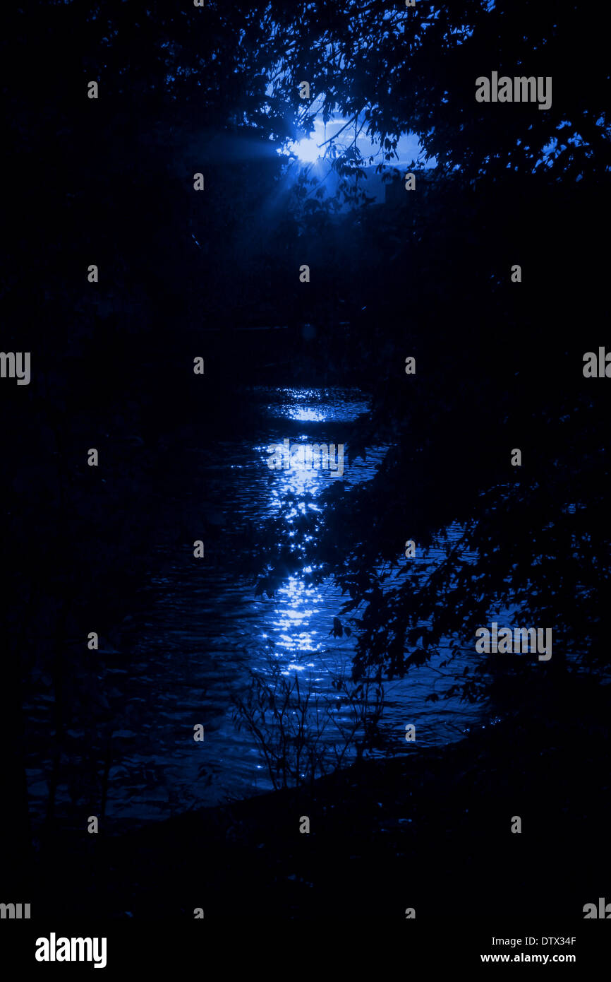 Moonlight lake shore night hi-res stock photography and images - Alamy