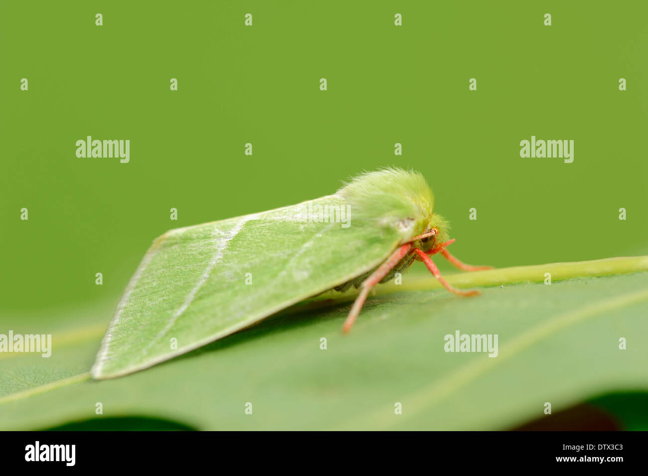 Silver lines hi-res stock photography and images - Alamy