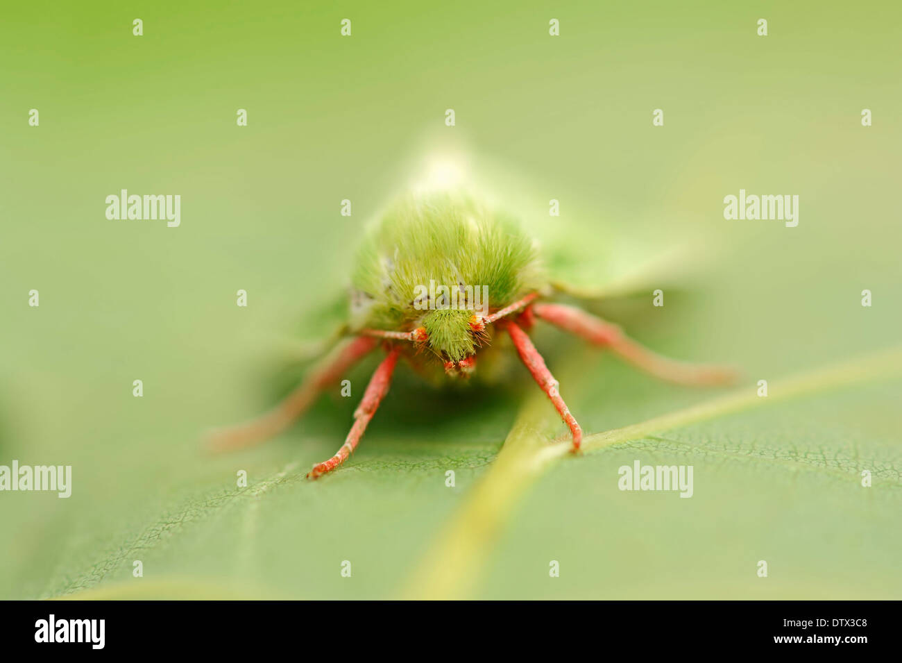 Silver lines hi-res stock photography and images - Alamy