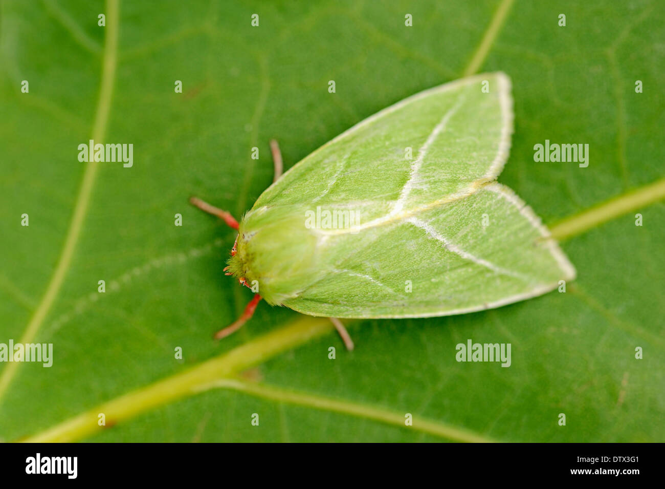 Silver lines hi-res stock photography and images - Alamy