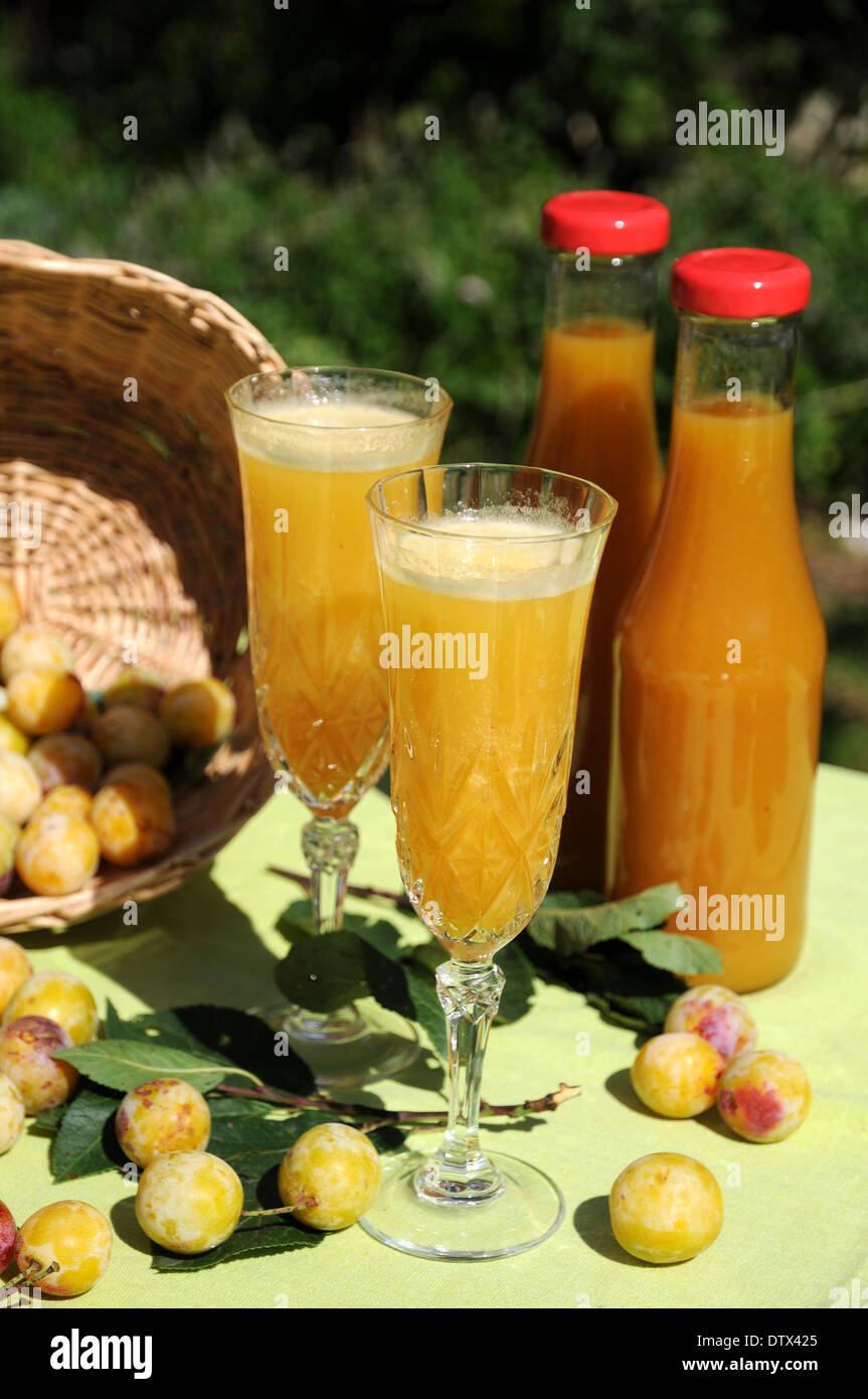 Mirabellen Ernte High Resolution Stock Photography and Images - Alamy