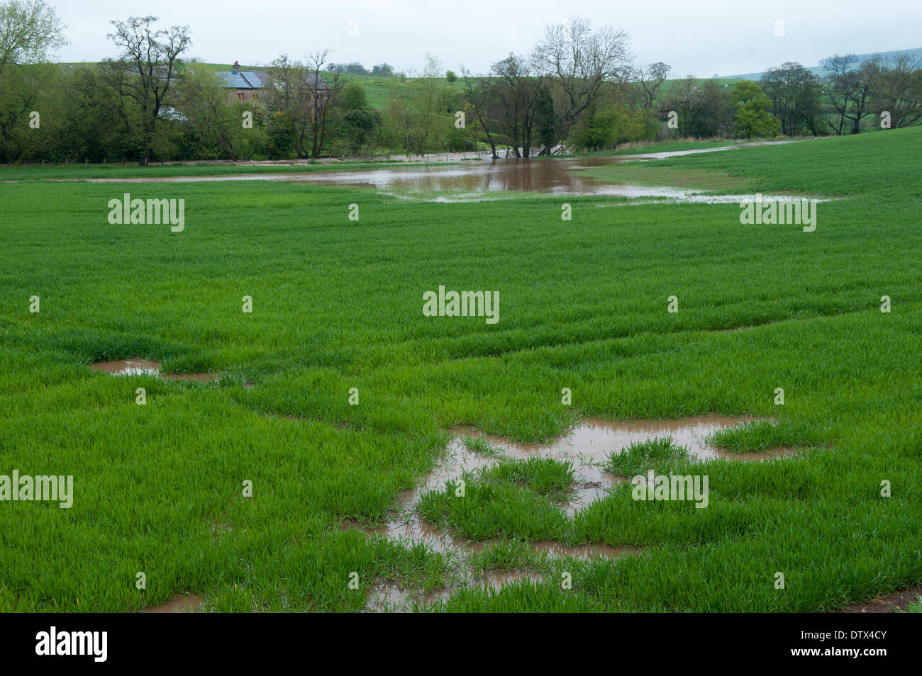 Waterlogged hi-res stock photography and images - Alamy
