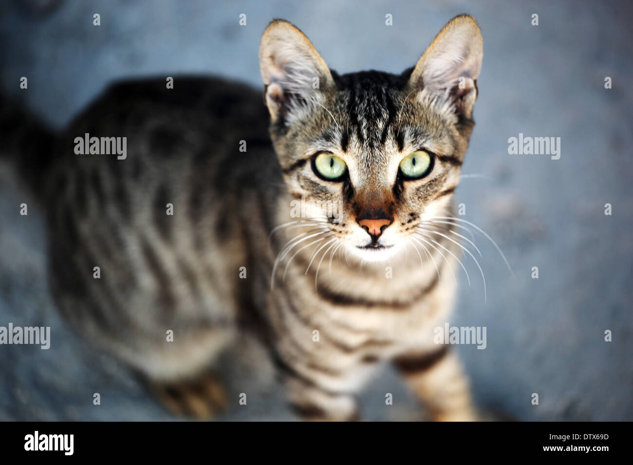 Interesting cropping hi-res stock photography and images - Alamy