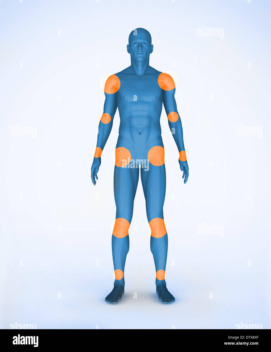 Joints of a digital body Stock Photo - Alamy