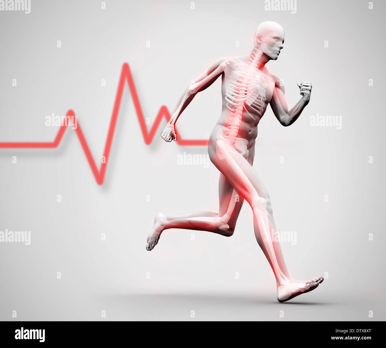 Skeleton running hi-res stock photography and images - Alamy