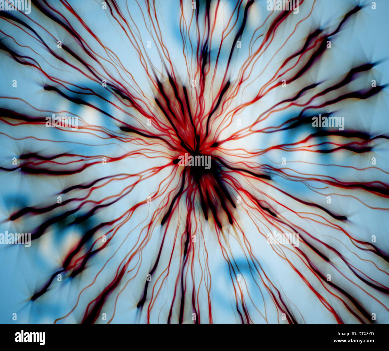 Strands of blue and red lights Stock Photo - Alamy