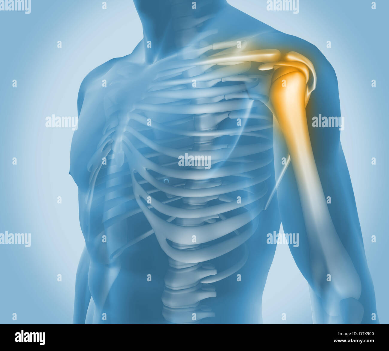 Closeup of a digital body Stock Photo - Alamy