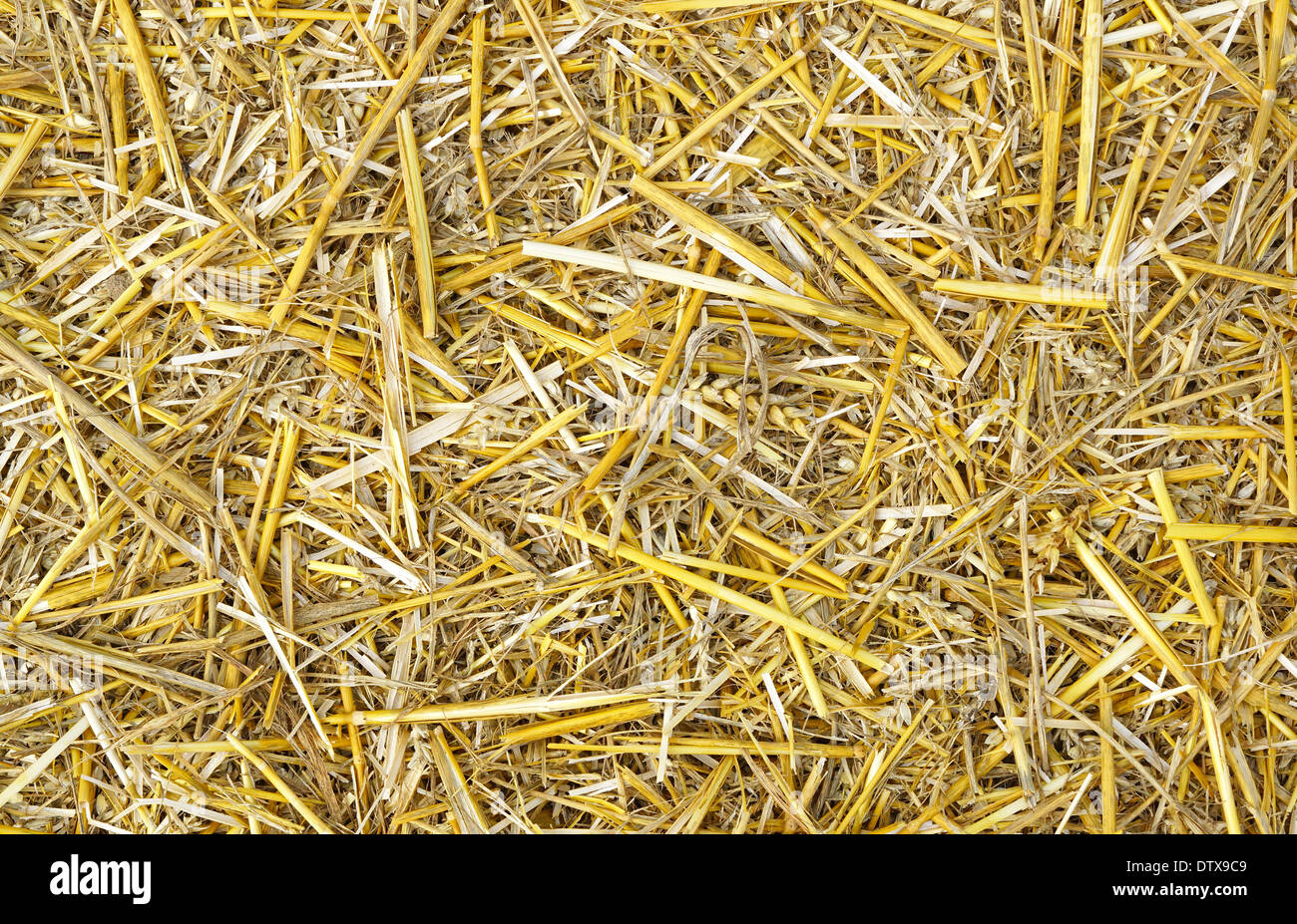 Background bio image hi-res stock photography and images - Alamy