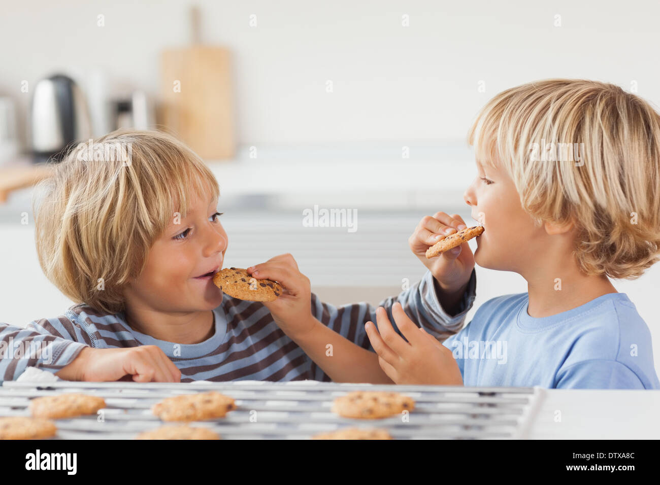 Brothers eating cookies together Stock Photo - Alamy