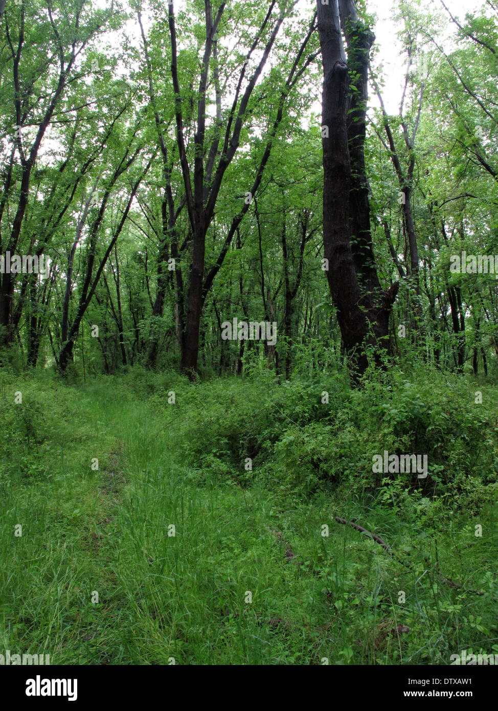 Esopus bend preserve hi-res stock photography and images - Alamy