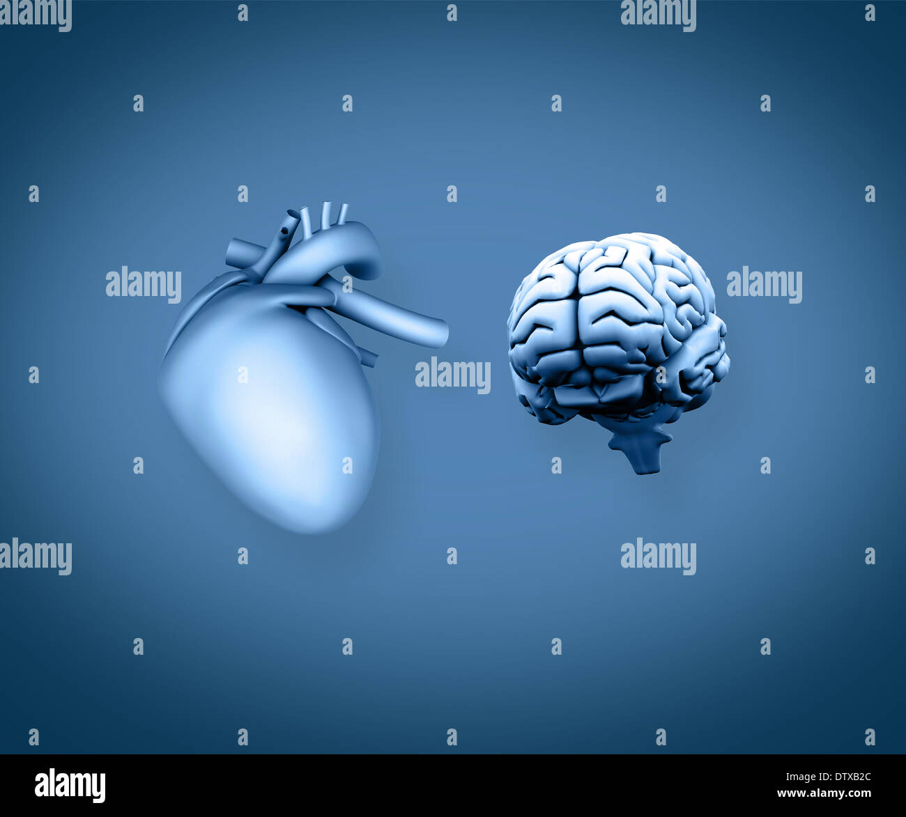 Heart and brain Stock Photo - Alamy
