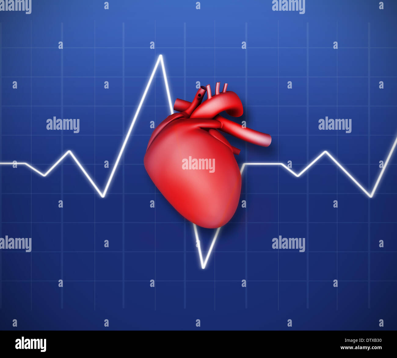 Diagram of a heart with ECG line Stock Photo - Alamy