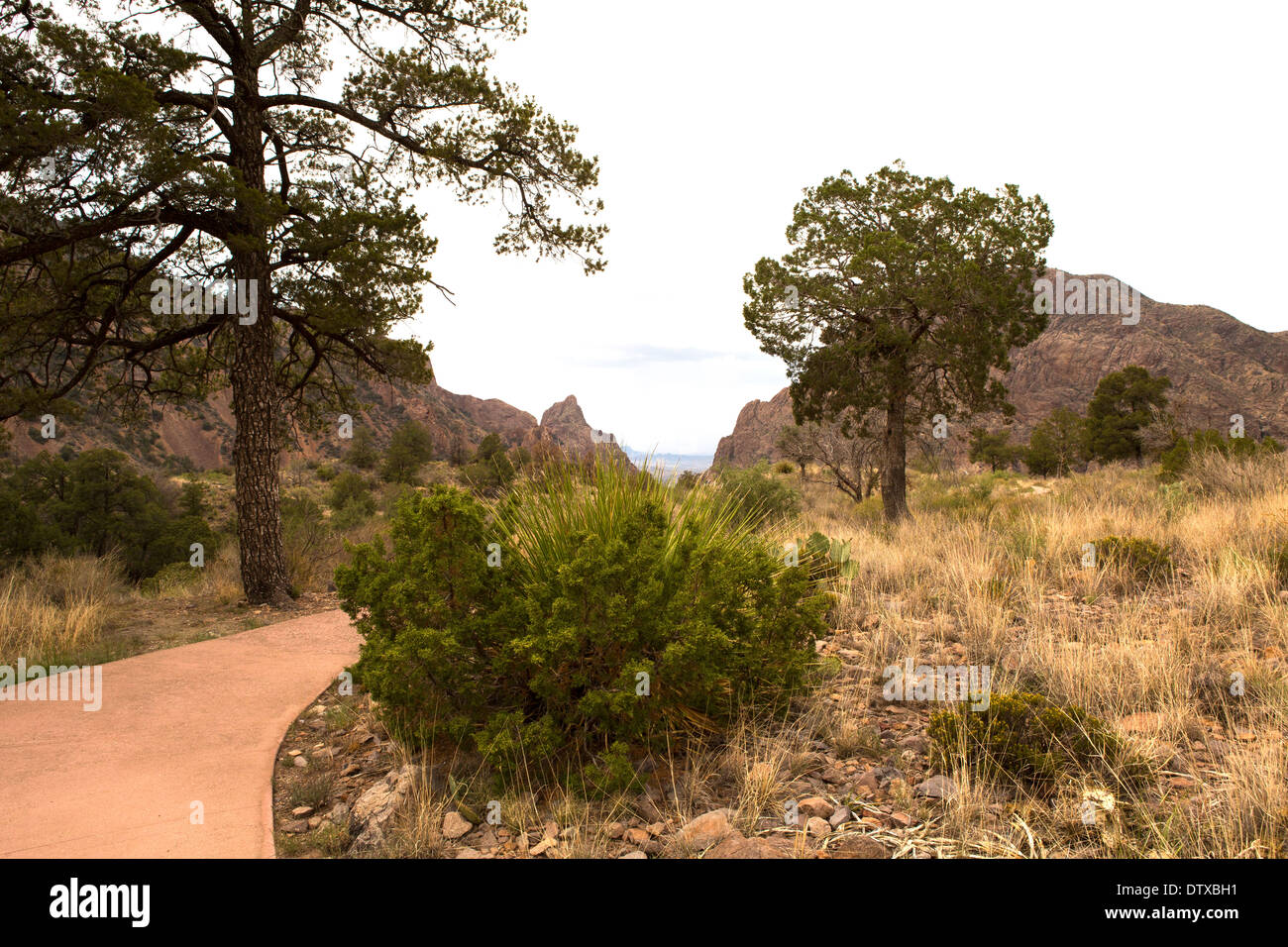 Big window view beautiful hi-res stock photography and images - Alamy