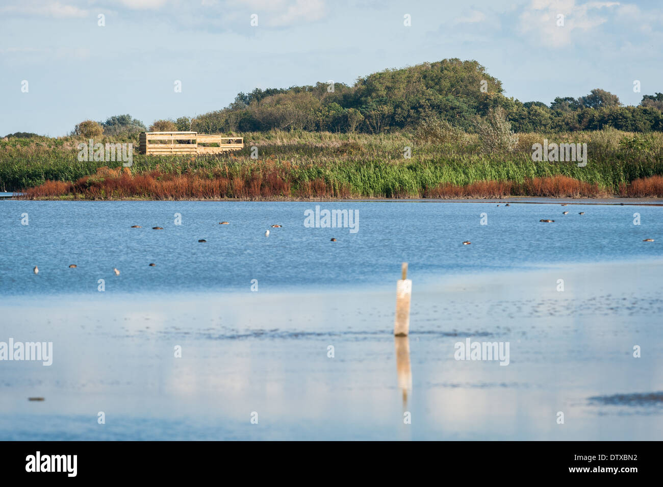 Titchwell rspb nature reserve hi-res stock photography and images - Alamy