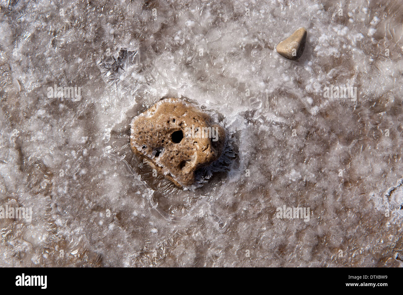 Salt forming on rocks after evaporation of sea water. Spain Stock Photo ...