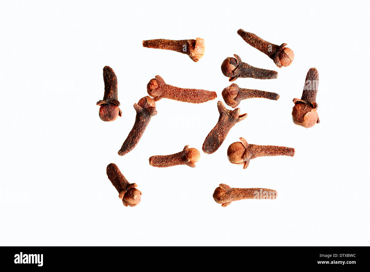 Clove color hi-res stock photography and images - Alamy