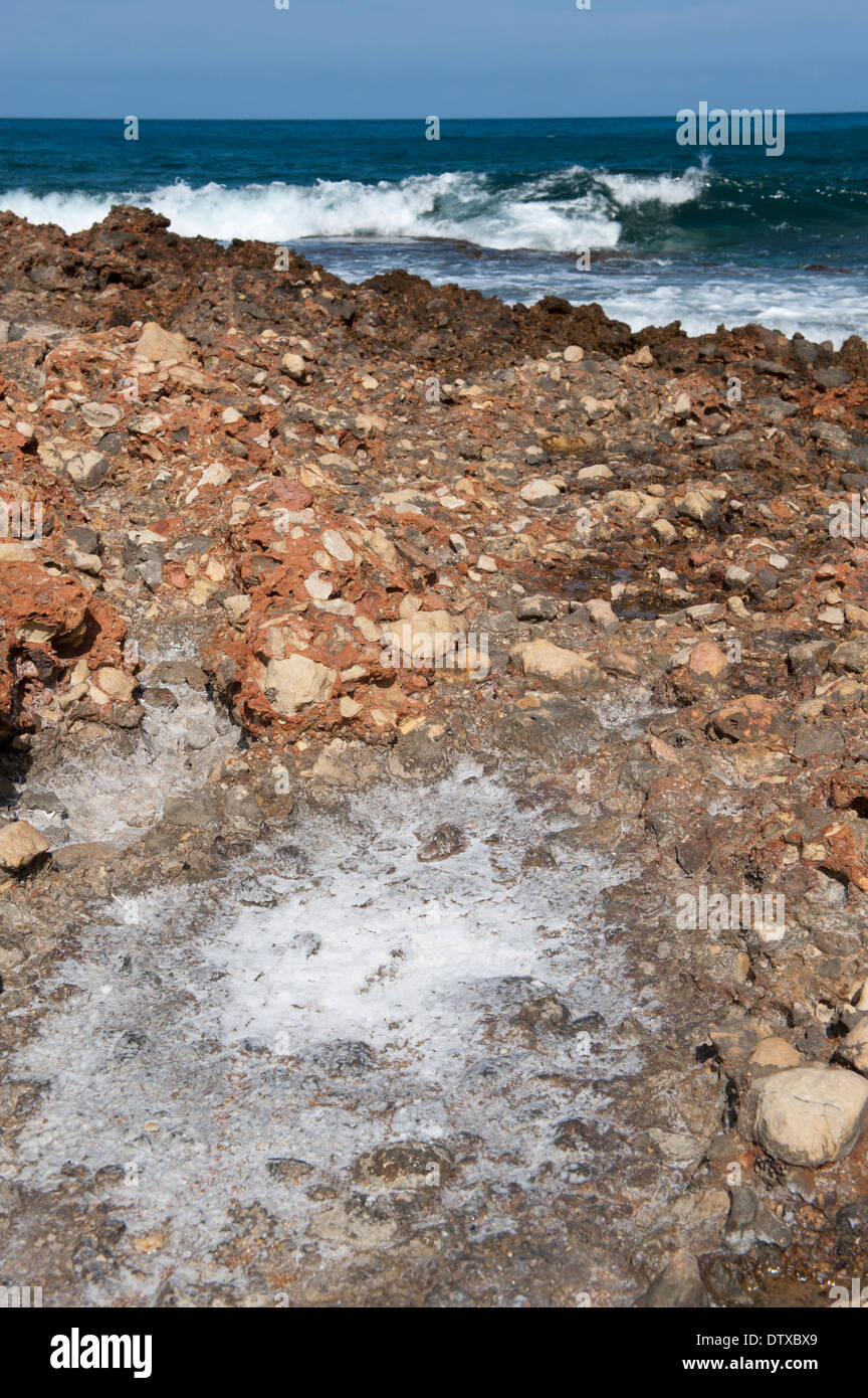 Salt forming on rocks after evaporation of sea water. Spain Stock Photo ...
