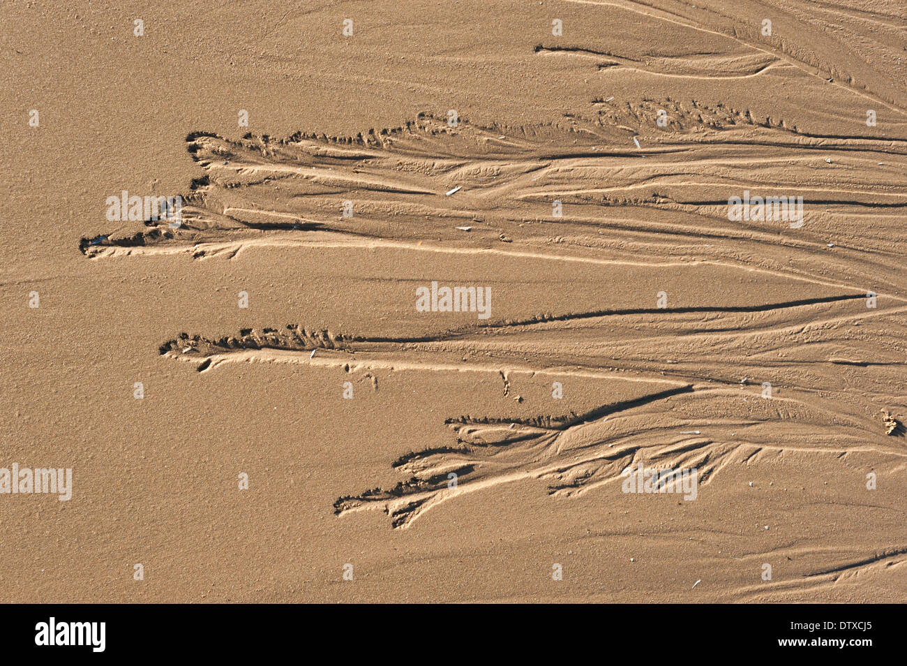 Rill erosion channel hi-res stock photography and images - Alamy