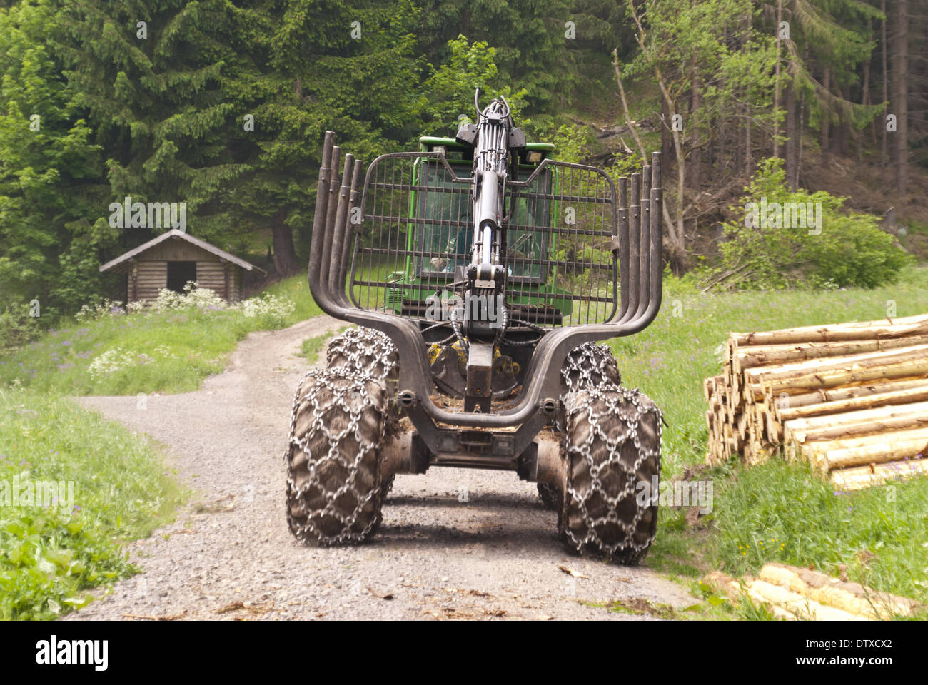 Forestry exploitation hi-res stock photography and images - Alamy