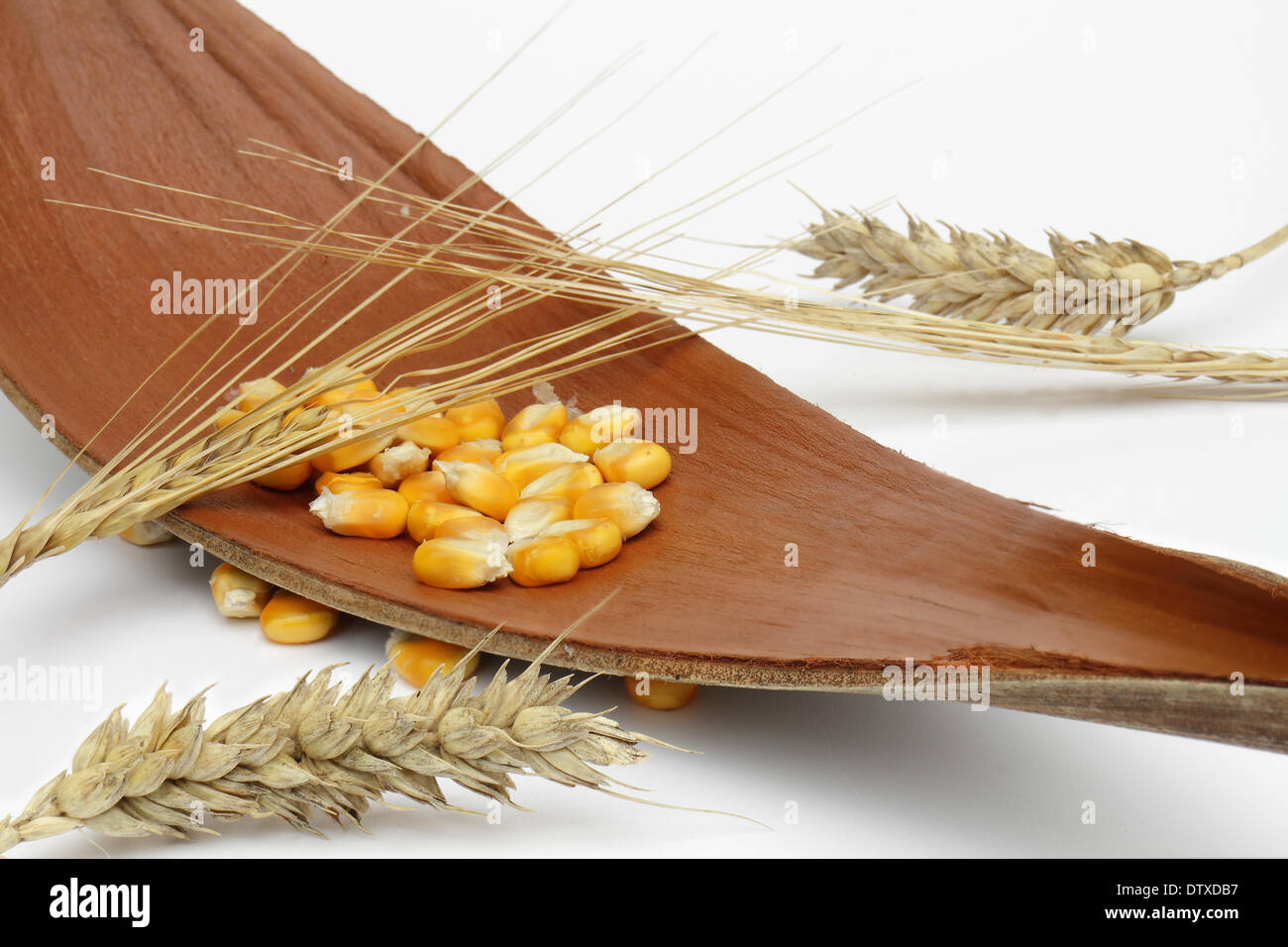 Harvest time hi-res stock photography and images - Alamy