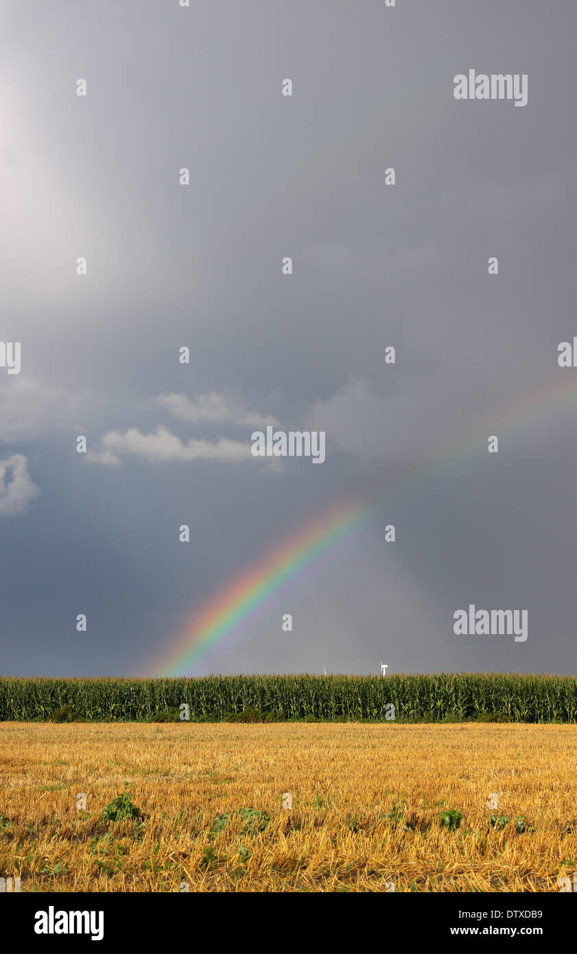 Rainbow Corn High Resolution Stock Photography and Images - Alamy