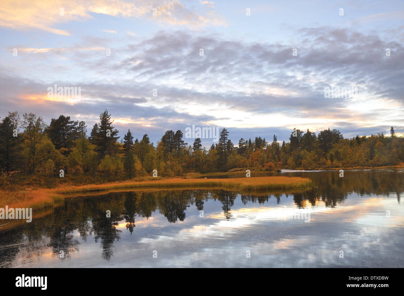 Rogen Lake Stock Photos & Rogen Lake Stock Images - Alamy