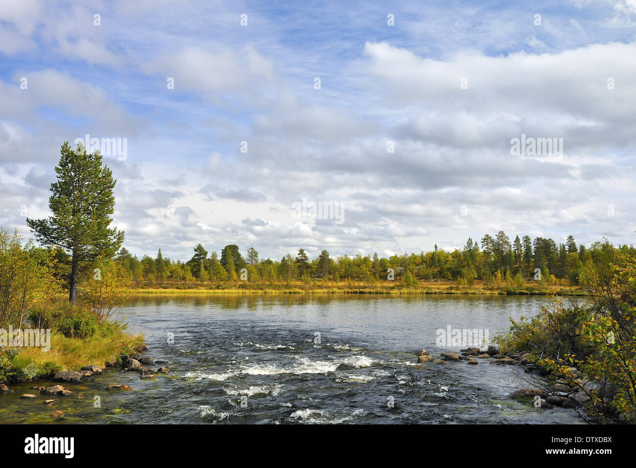 Rogen naturreservat hi-res stock photography and images - Alamy