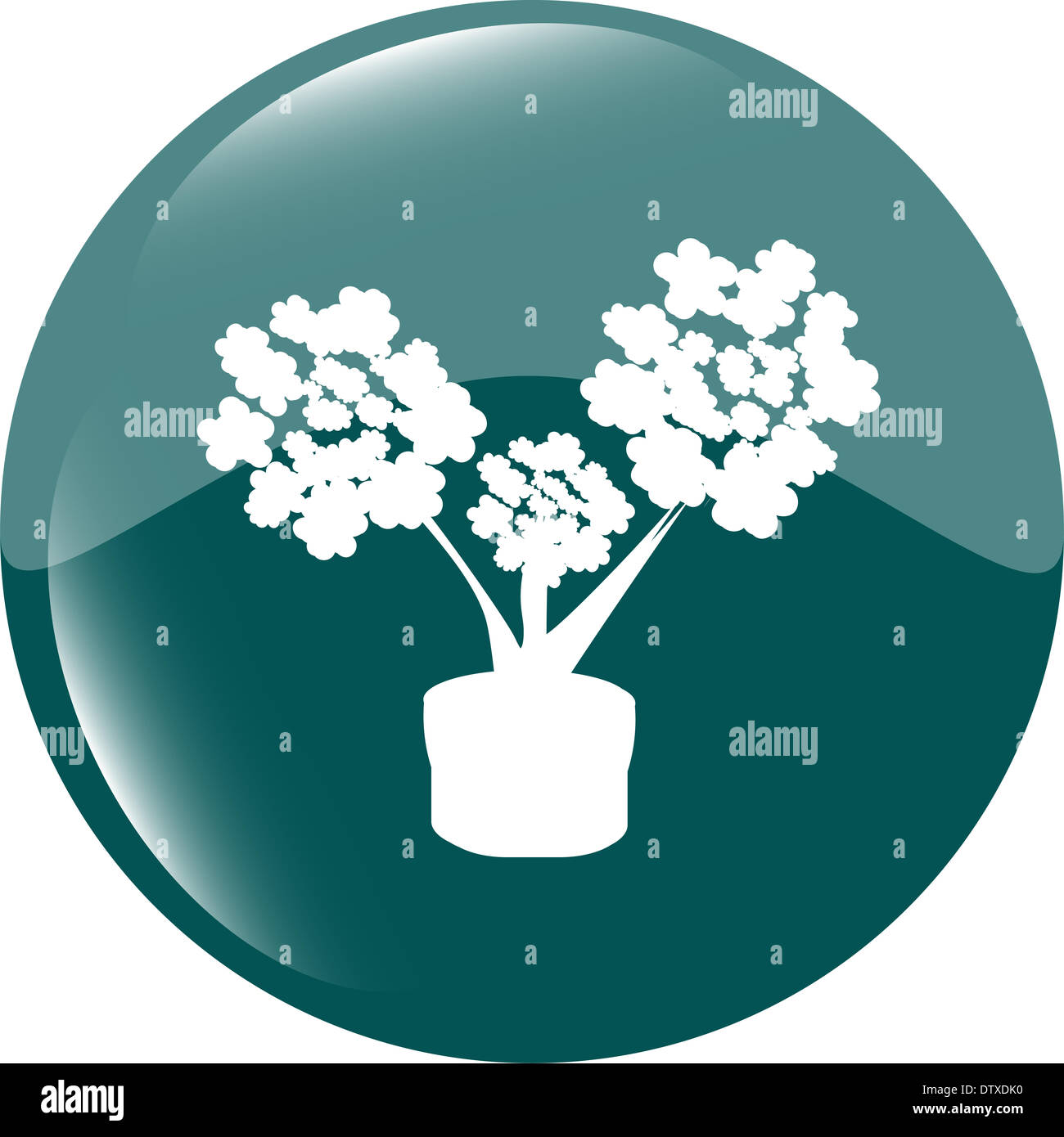 flowers icon button app web Stock Photo - Alamy