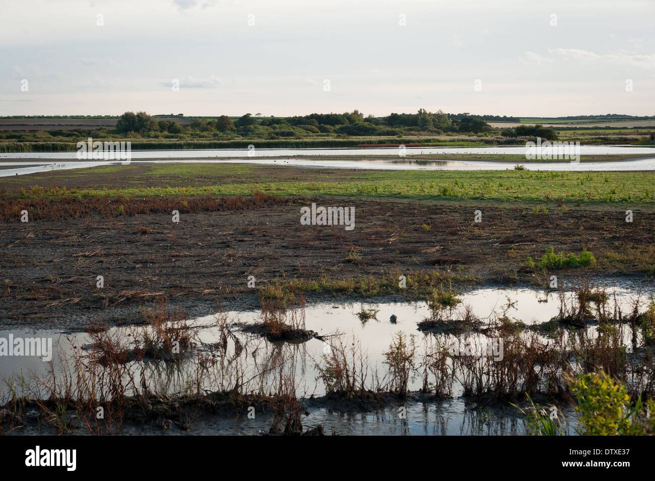 Titchwell Marsh nature reserve, Norfolk Stock Photo - Alamy