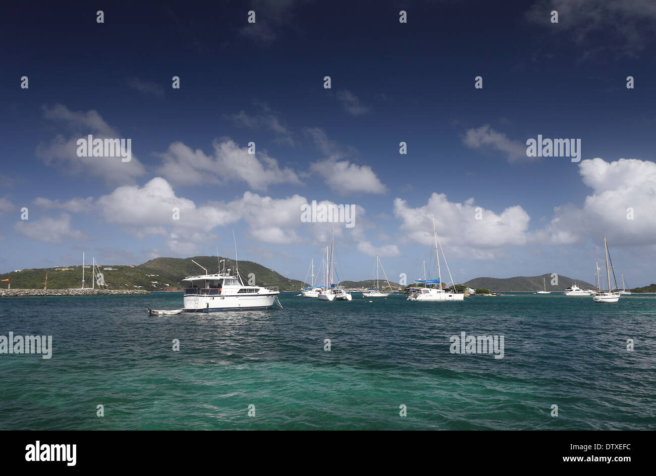 Trellis bay hi-res stock photography and images - Alamy