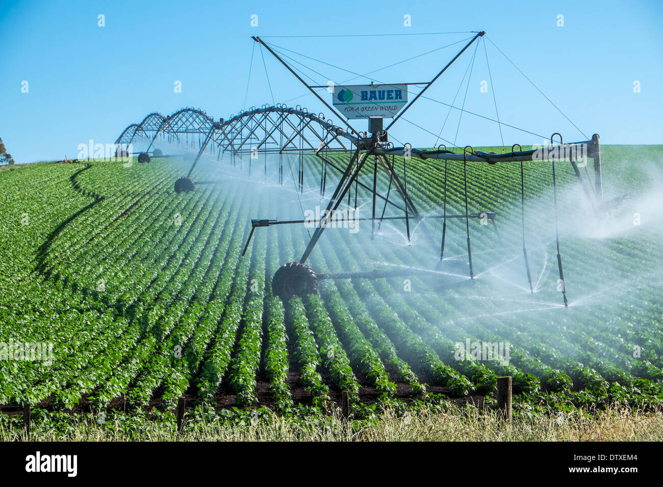 Irrigated hi-res stock photography and images - Alamy