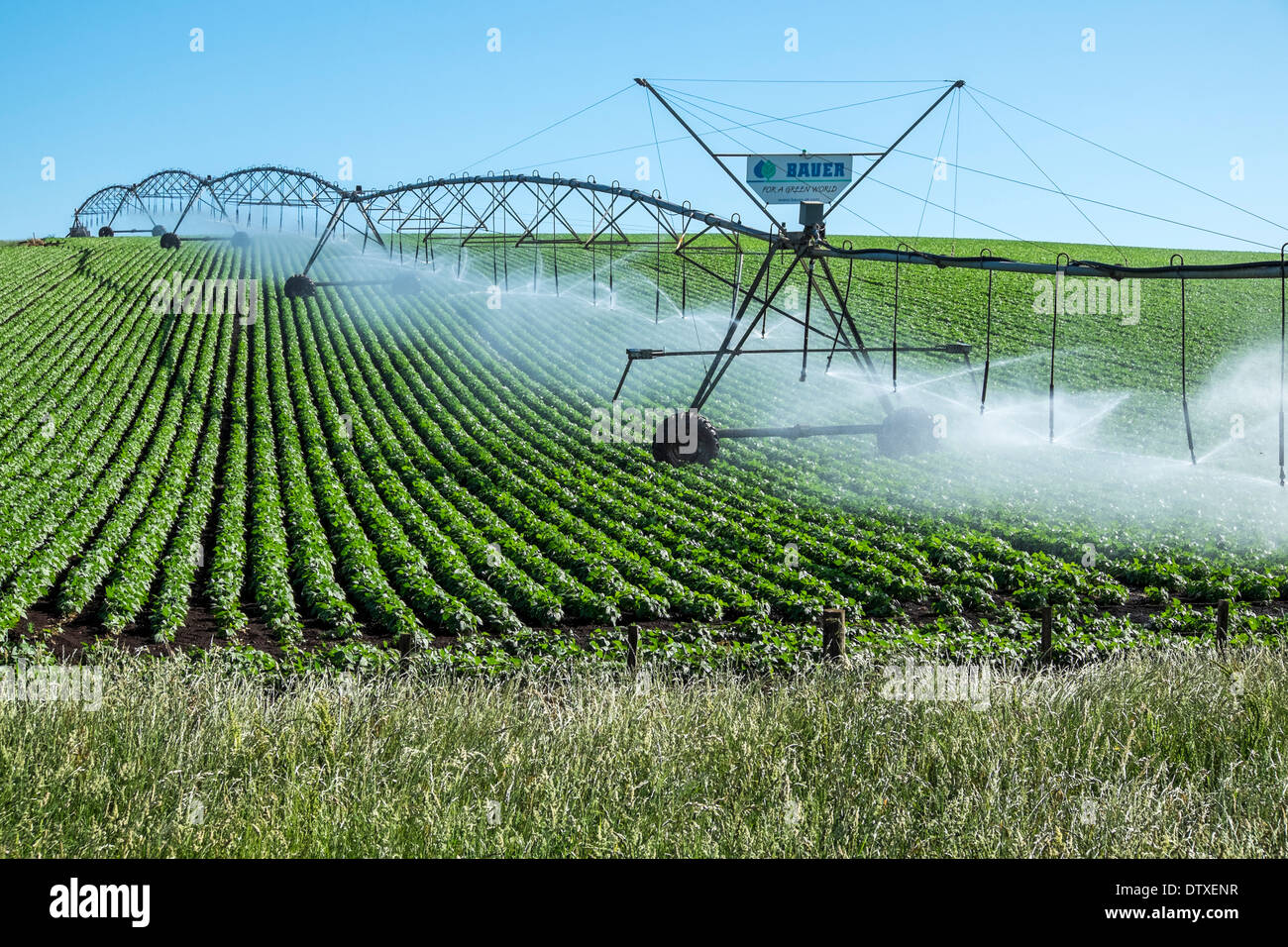 Irrigated by water hi-res stock photography and images - Alamy